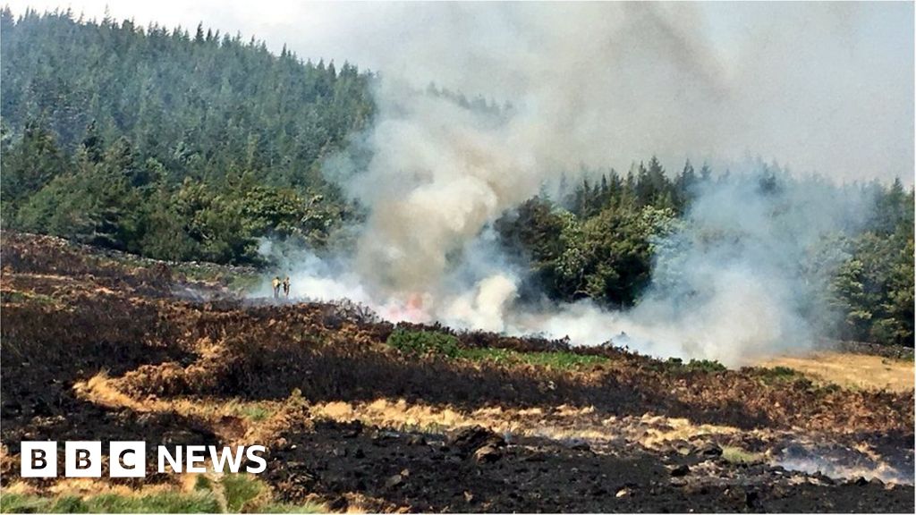 Public warned to stay away from Tollymore forest fire - BBC News