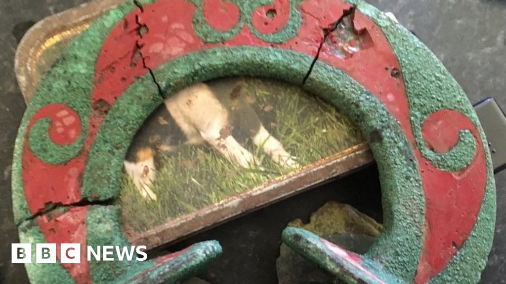 Pembrokeshire chariot burial finds ruled as treasure - BBC News