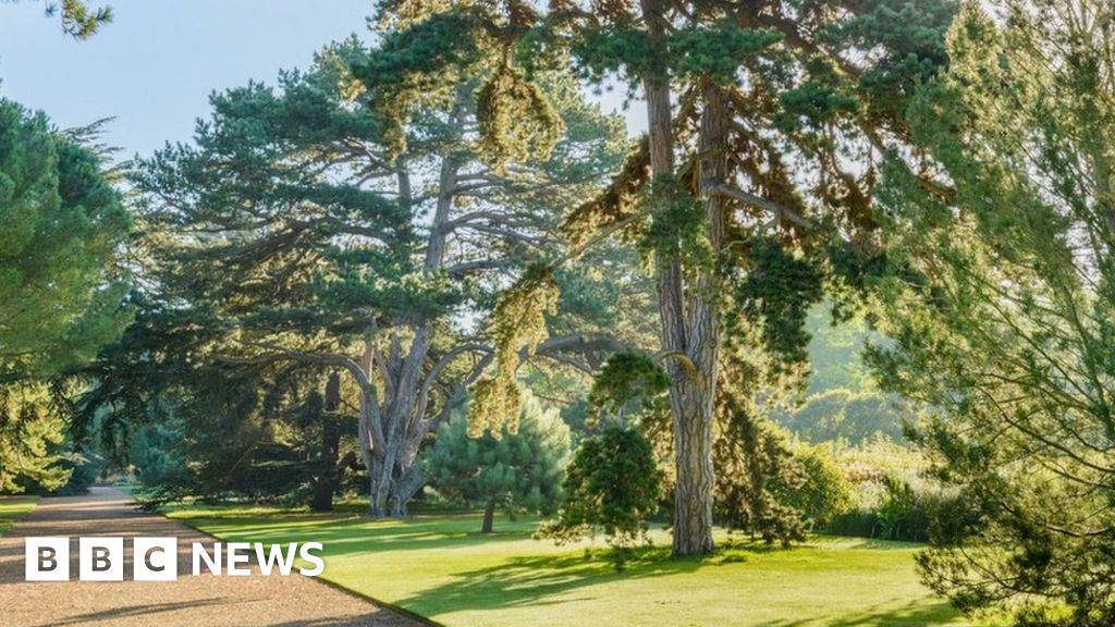 Botanic gardens 'best hope' for saving endangered plants - BBC News