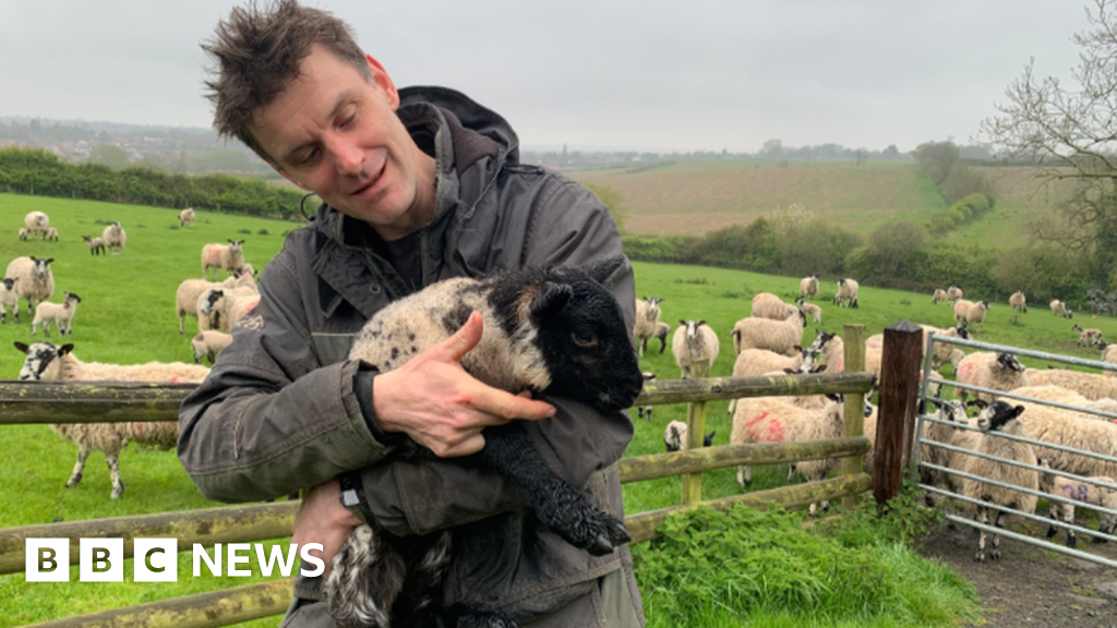 Scraptoft farmer 'heartbroken' as lamb killed in dog attack - BBC News