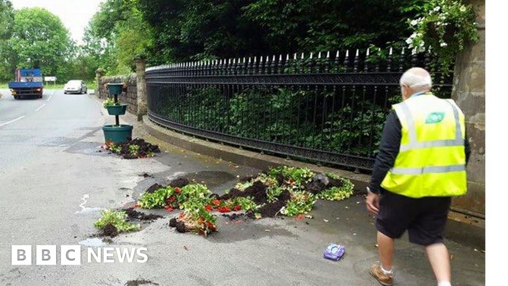 Castlecaulfield Bloom challenge disrupted by village vandals - BBC News