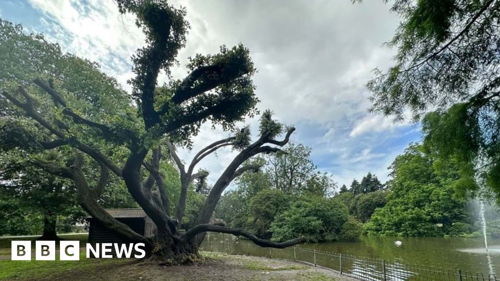 Leamington Spa and Lichfield on Tree of the Year shortlist