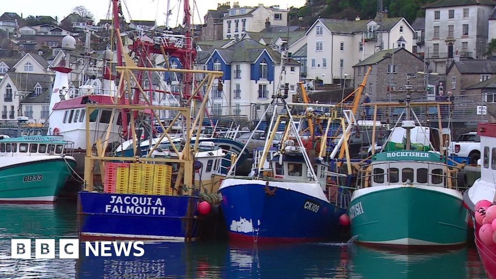Brixham fish market has £43m 'record year' of landings - BBC News