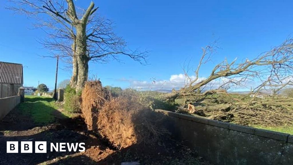 Weather warning as NI coast battered by high winds - BBC News