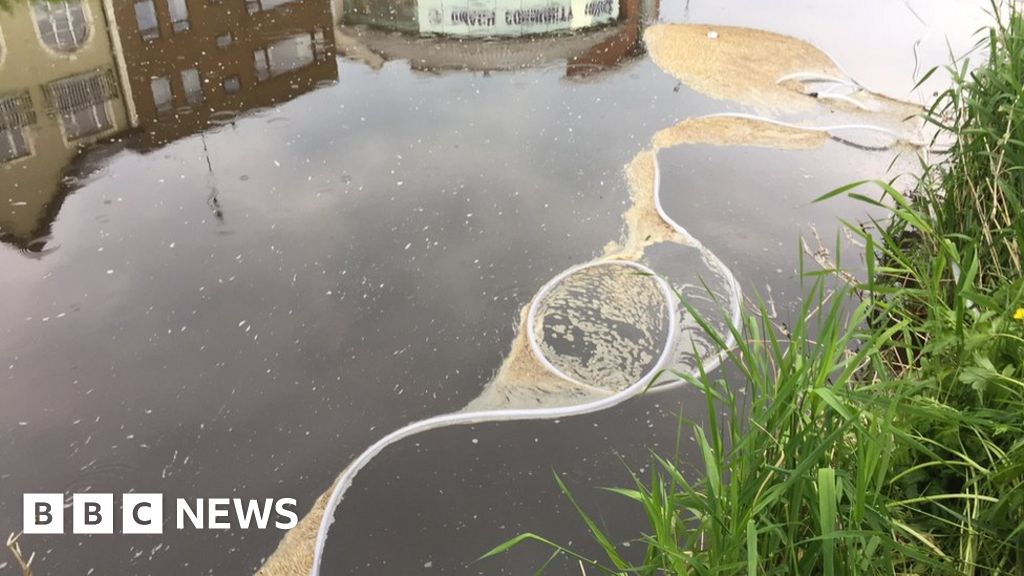 Major slurry spill into Tyrone's Owenreagh river - BBC News
