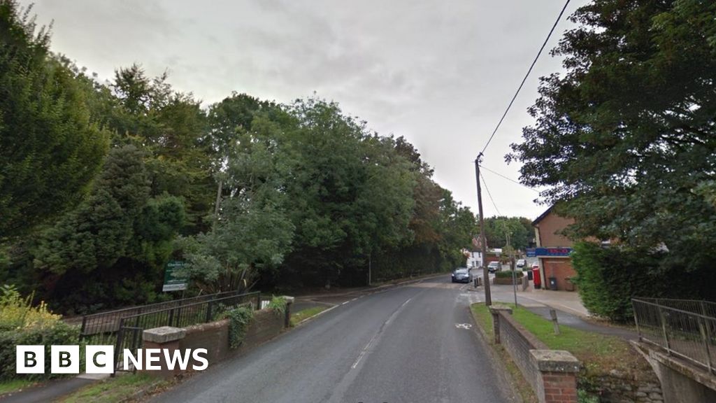 Two arrests over Andover fatal 'hit-and-run' crash - BBC News