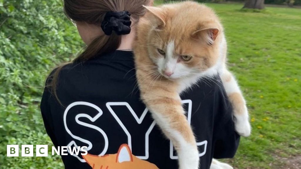 University of East Anglia's campus cat helps raise money for charity ...