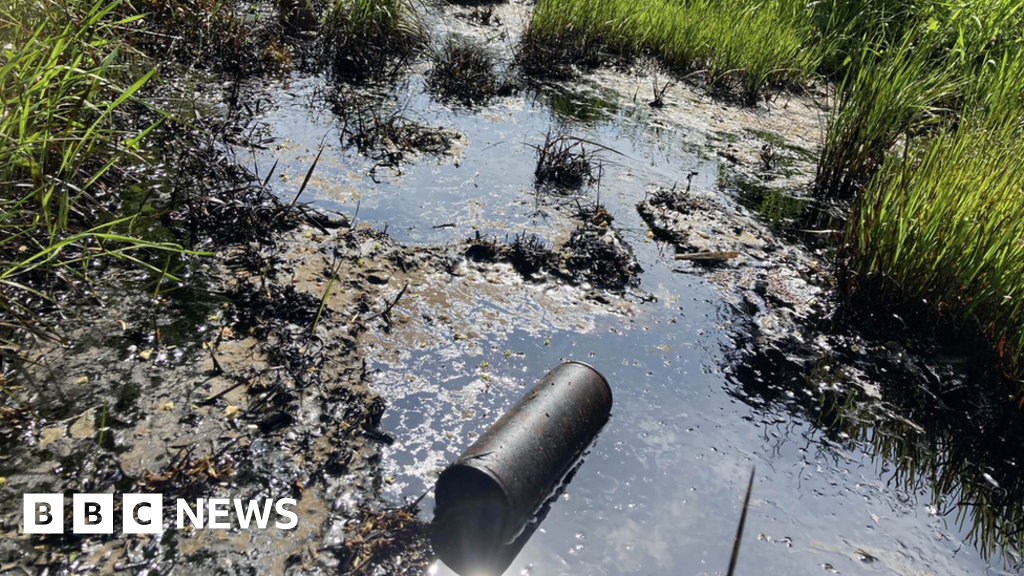 Wymondham: Beauty spot closed after oil dumped - BBC News