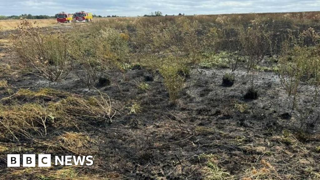 Crops destroyed in 'rapidly' spreading field fire in Canewdon