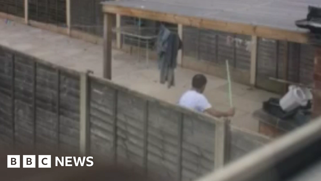 Man who beat dog with pole is jailed - BBC News