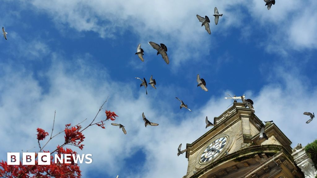 Your pictures across the West Midlands