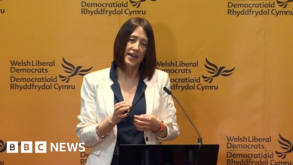 Welsh Lib Dem leader presses case for new Brexit poll