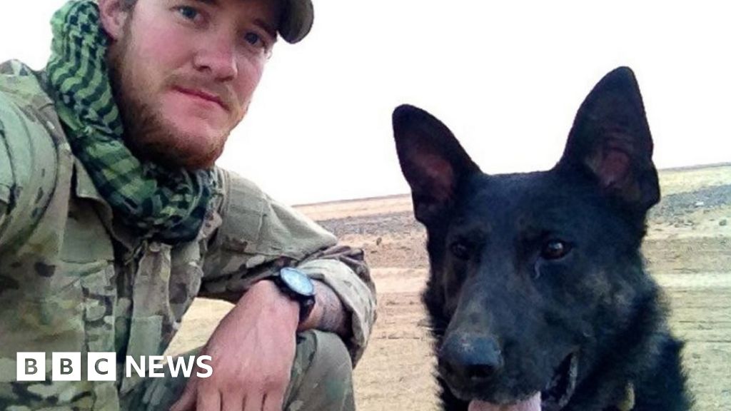 US military dogs awarded 'K-9' bravery medals for Afghan service - BBC News