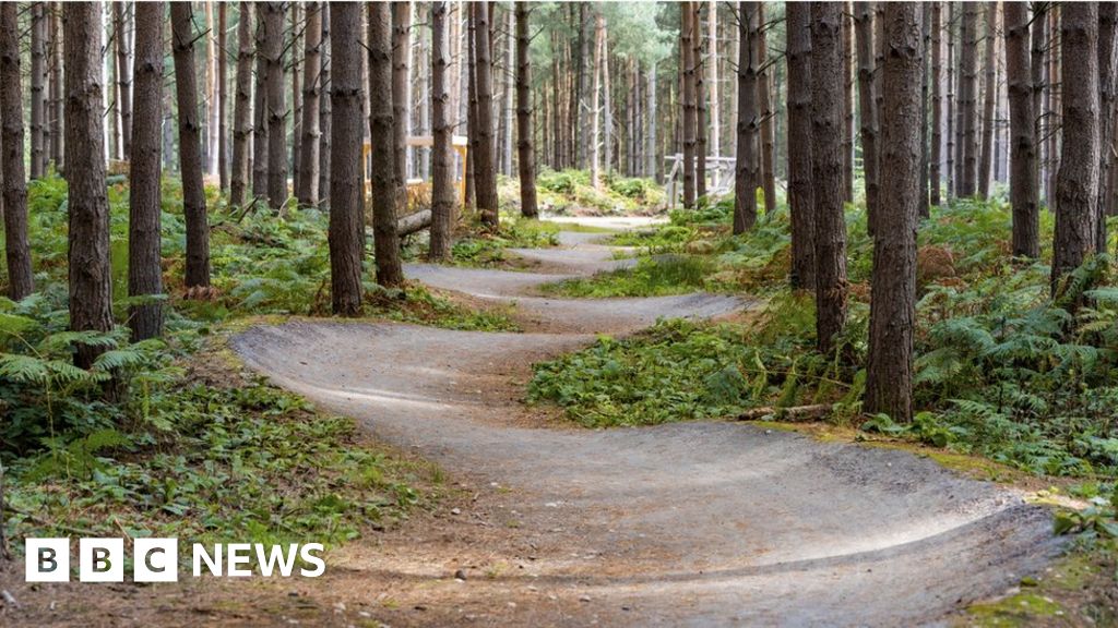 Bid to inspire next generation to care for Cannock Chase