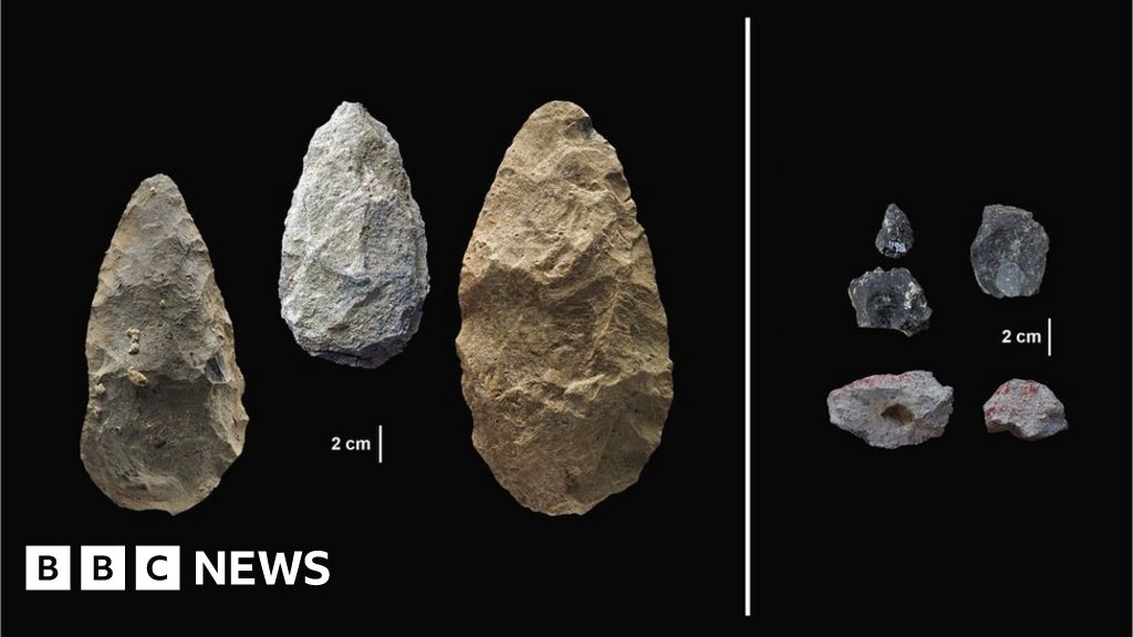 Changing environment influenced human evolution - BBC News