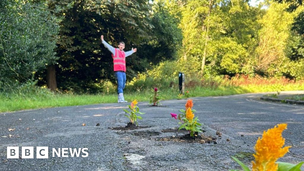 Horsham gardener fills potholes with flowers to 'bring joy' - BBC News