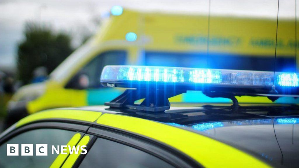 Eastbourne: Firearms officers give life-saving CPR to two men