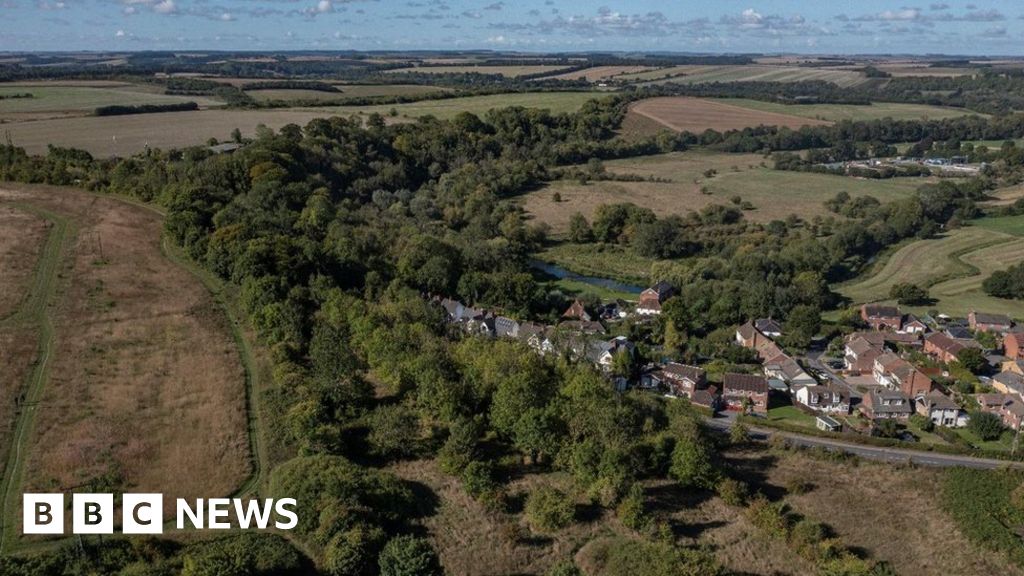 Wiltshire project hopes to clean up local monument - BBC News