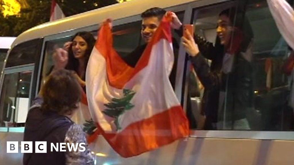 Lebanon protest: Expats return for Independence Day demonstration