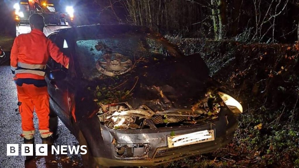Driver has 'lucky escape' after tree falls on car - BBC News