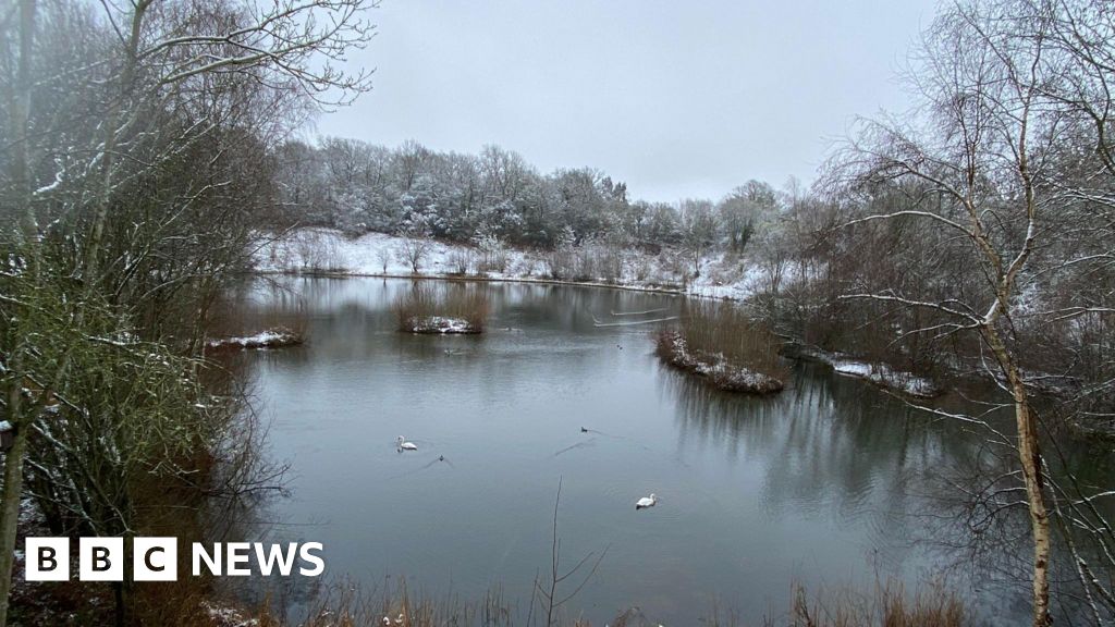 Bird flu confirmed at Warwickshire's Ryton Pools Country Park
