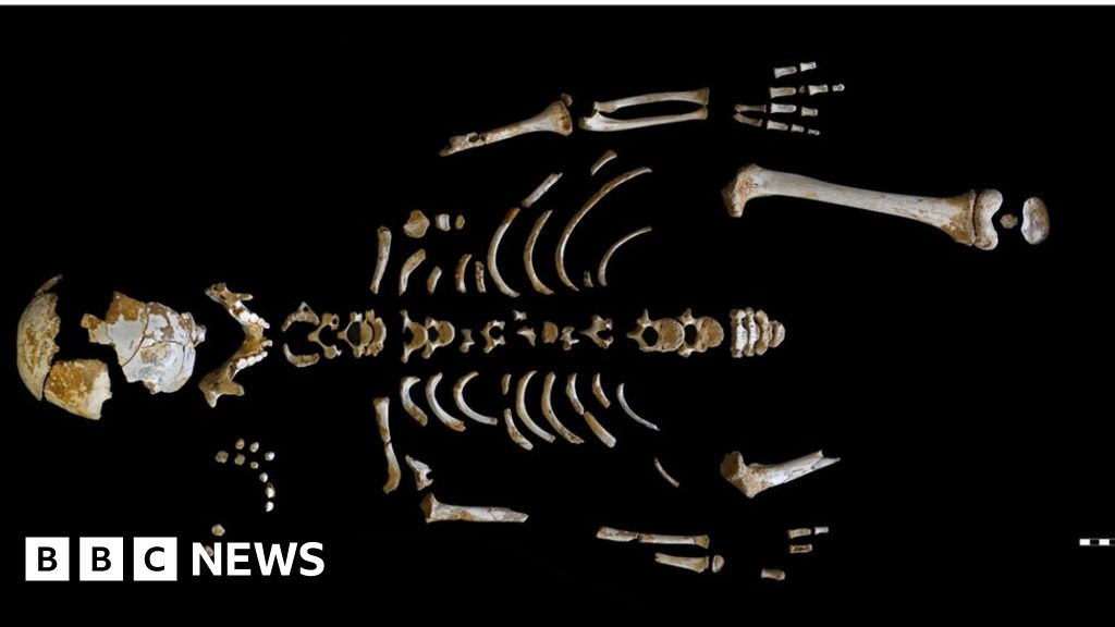Neanderthal brains 'grew more slowly' - BBC News