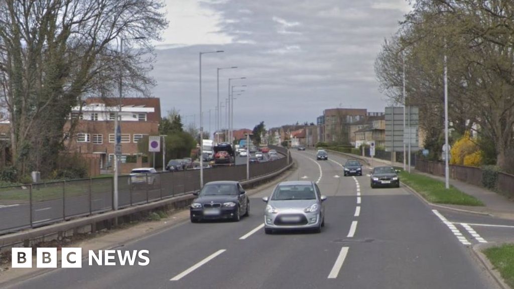 Hendon stabbing: Man charged with Elize Stevens murder