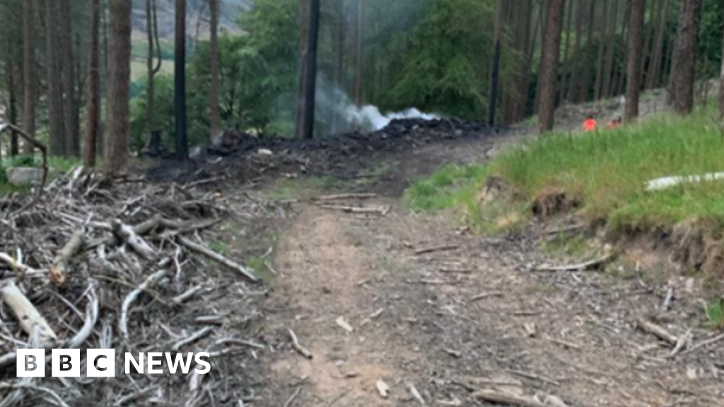Oldham fire: More than 50 firefighters tackle woodland blaze - BBC News