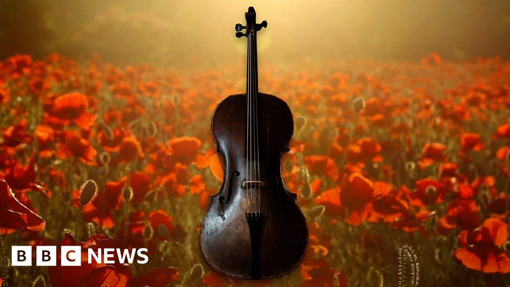 Armistice Day: The Great War Cello
