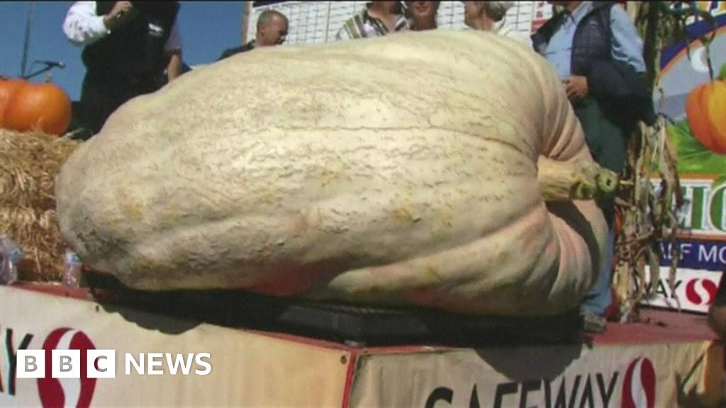 Gigantic pumpkin wins US weigh-off - BBC News