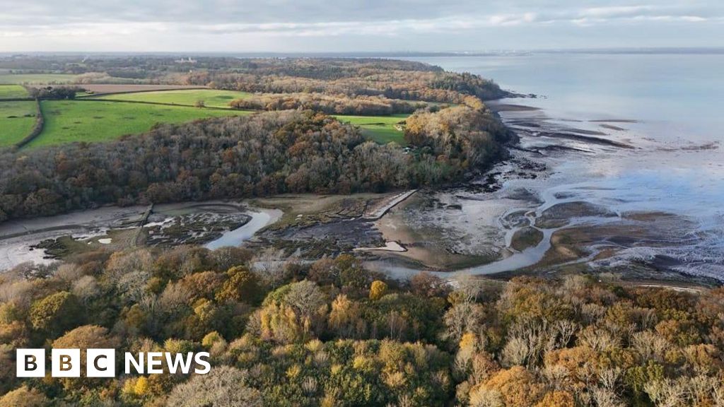 Isle of Wight: Second human bone found on King's Quay coastline
