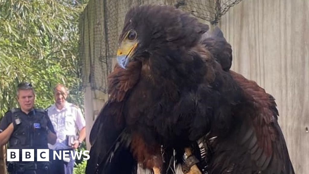 Ellistown: Animal ban over birds kept in 'appalling conditions' - BBC News