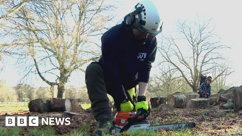 Free farming and woodland training in Devon and Cornwall - BBC News