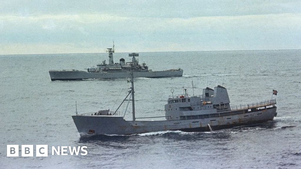 The fish that nearly caused a war - BBC News