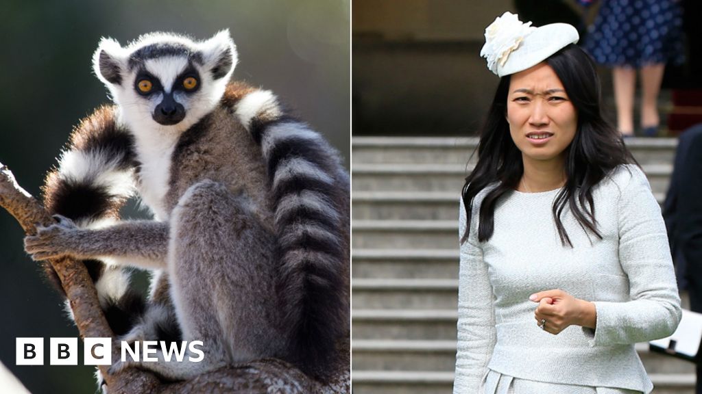 Who's had a week to forget, or a week to remember? - BBC News