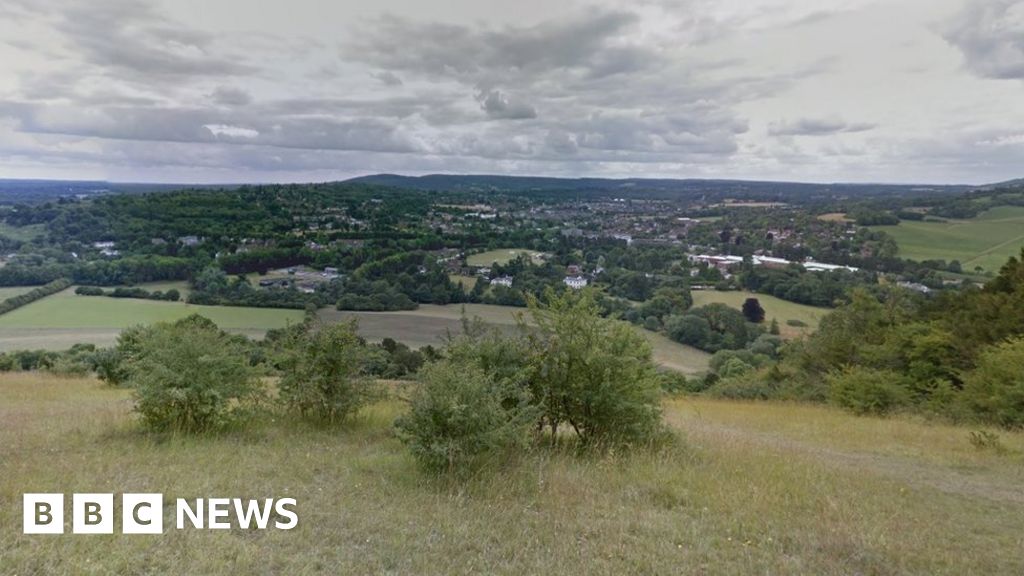 Mole Valley: Council told it must carry on with housing plan - BBC News