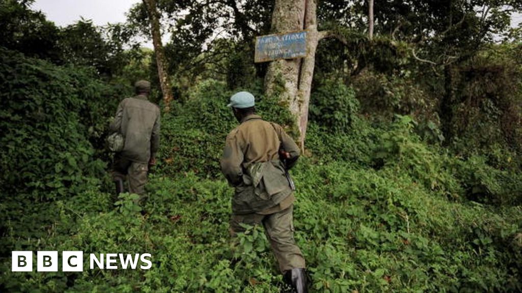 Virunga National Park: DR Congo rangers killed
