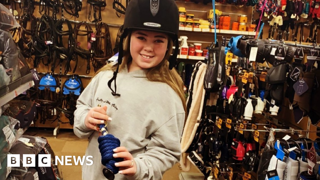 Ellesmere to be illuminated pink in memory of girl, 13 - BBC News