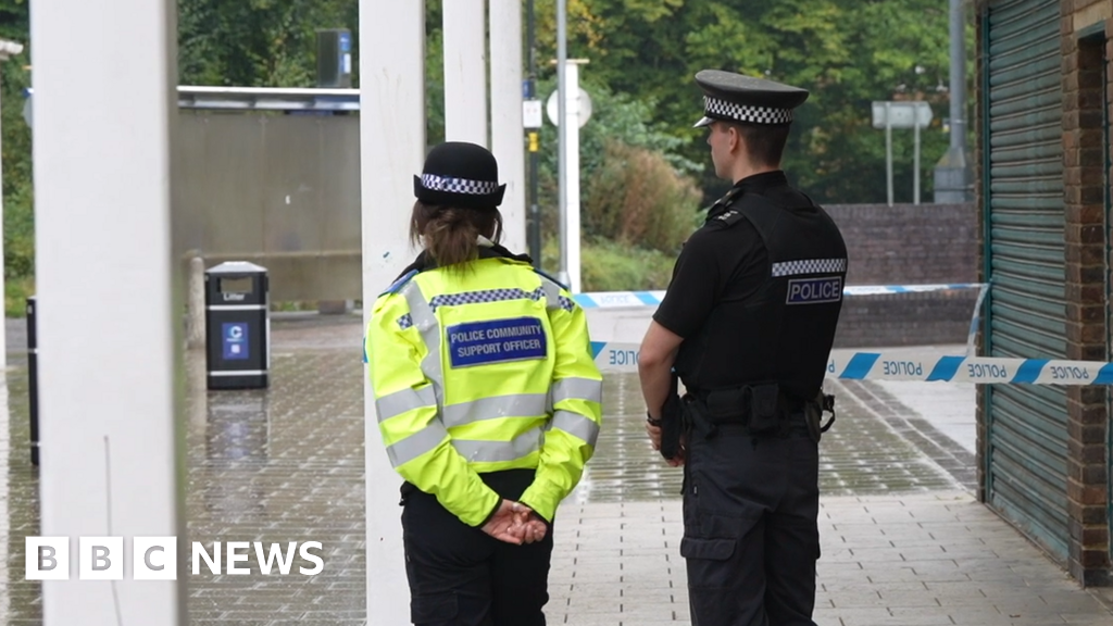 West Sussex: Police arrest two men on suspicion of rape