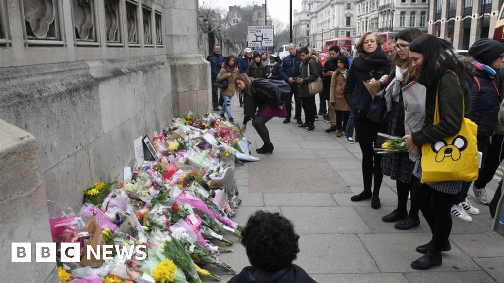 London attack: How can we be protected from terrorism? - BBC News