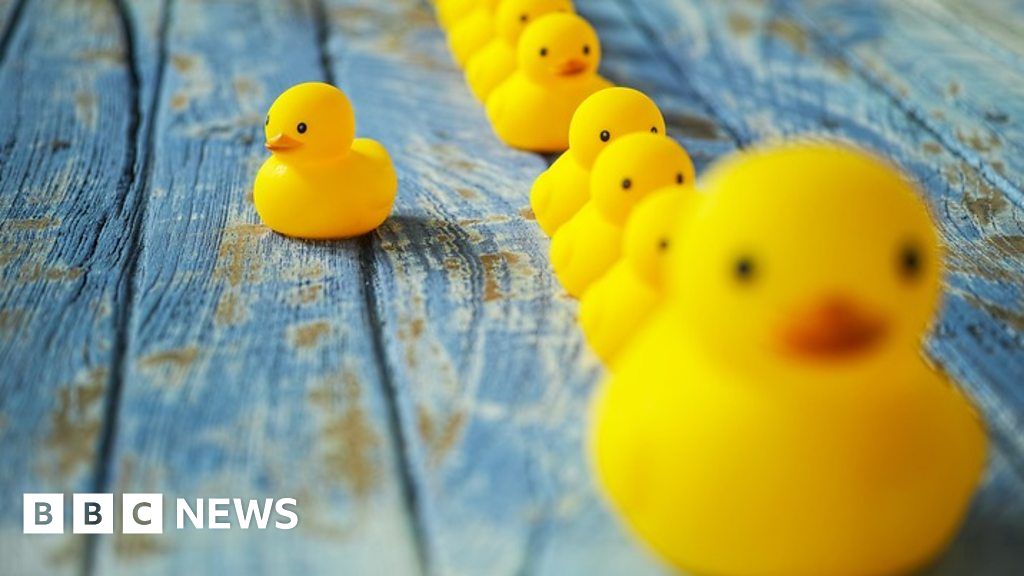 How the rubber duck became a million dollar idea - BBC News