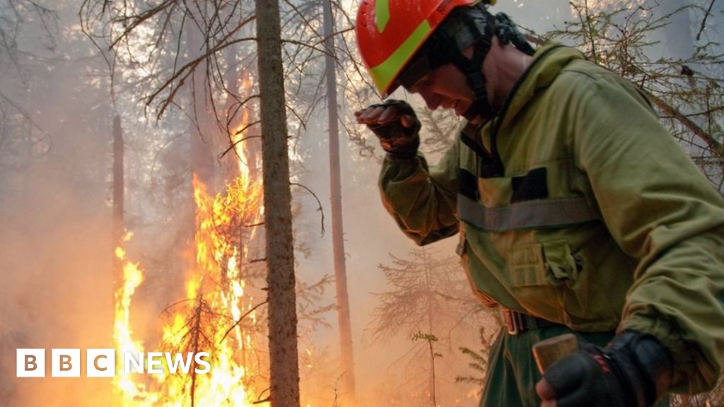 In pictures: Russia's massive wildfires rage on