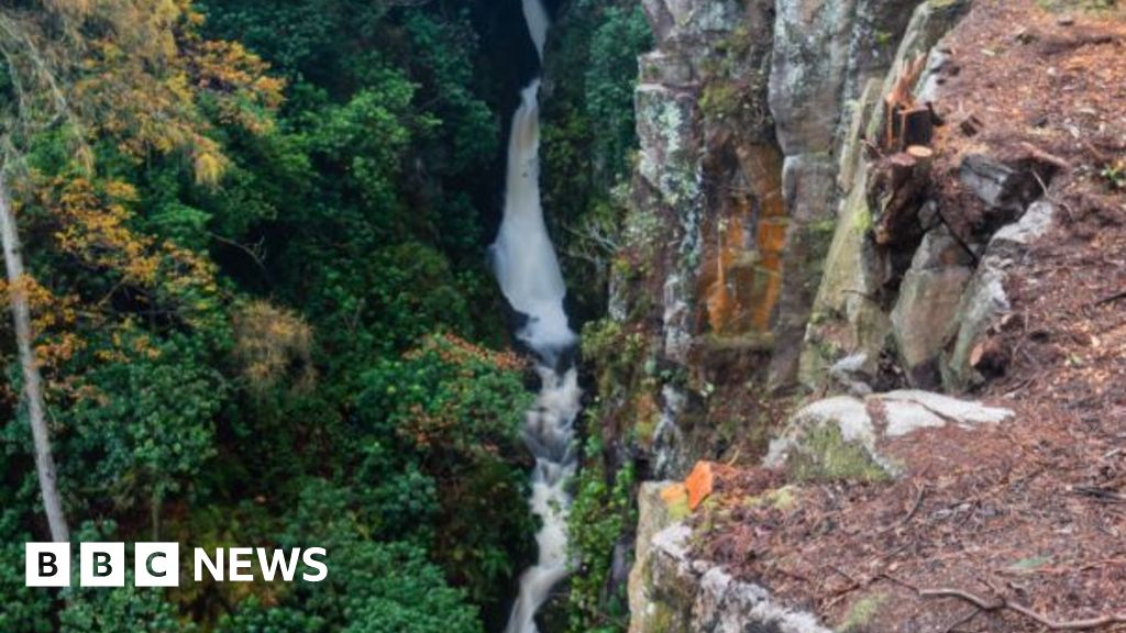 Lake District's 'forgotten view' of waterfall restored - BBC News