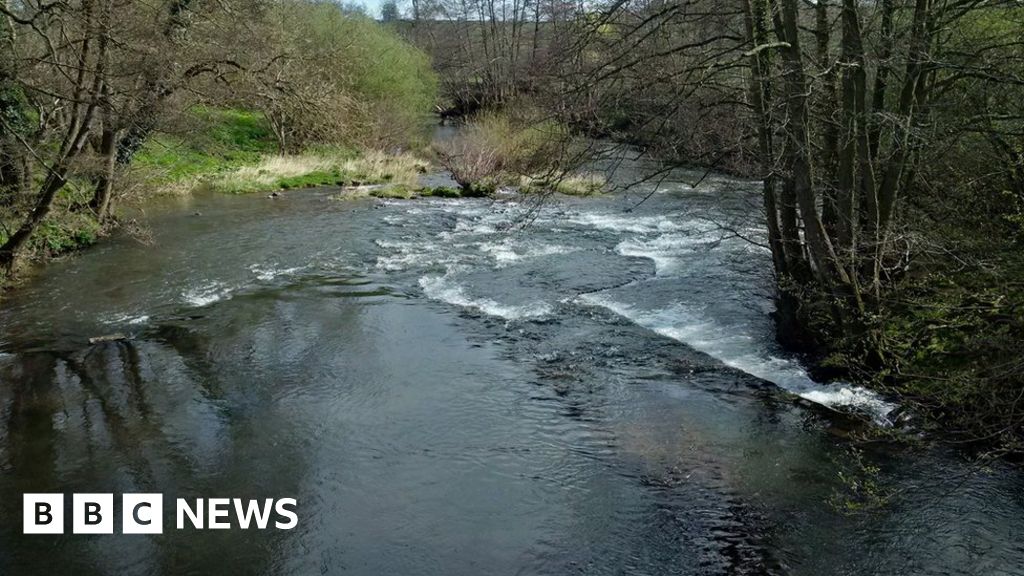 River Honddu farm slurry pollution 'contained' - BBC News