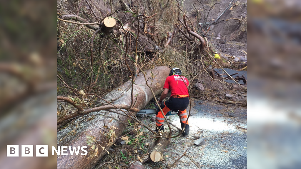 Ebbw Vale tree surgeon helps Hurricane Maria victims - BBC News