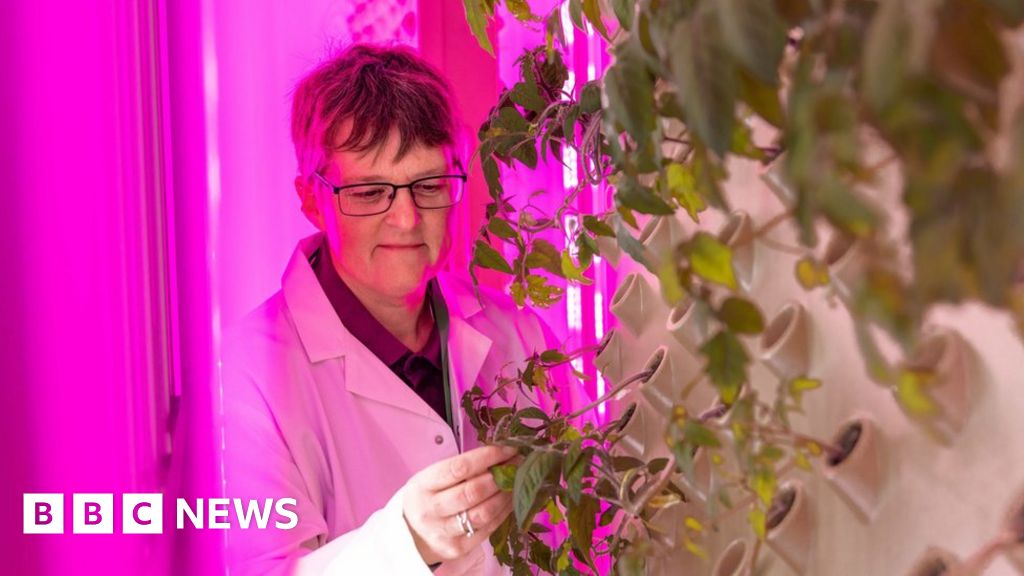 Essex University builds lab to develop climate-resilient plants