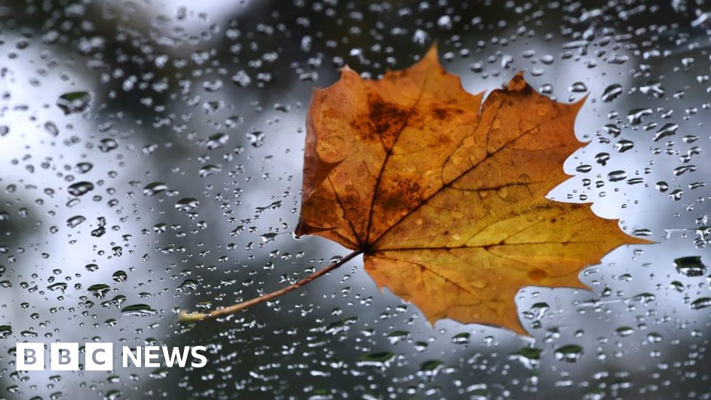 Wettest and warmest December 'won’t become norm for decades' - BBC News