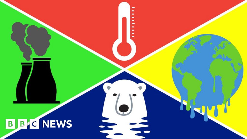 Climate change: The COP25 talks trying to change the world