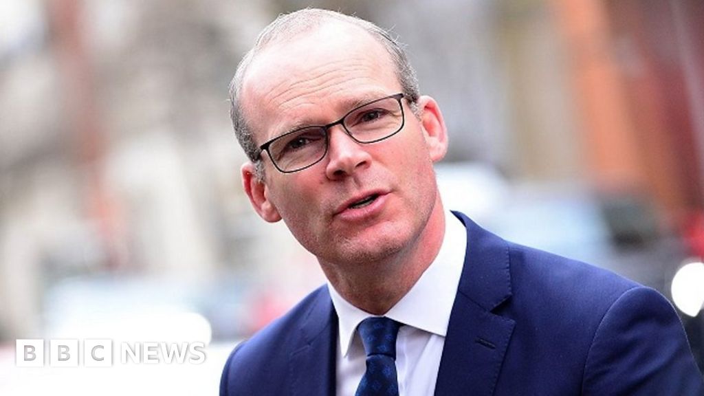 DUP meeting 'robust but respectful' says Simon Coveney - BBC News