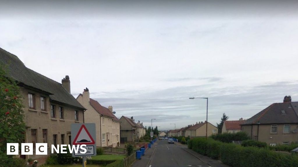 Police investigate Hamilton attempted murder